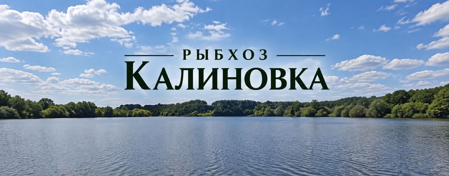 Калиновка