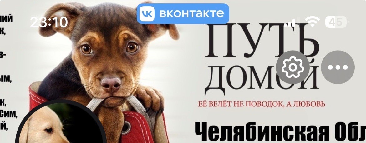 Хвостики и усики