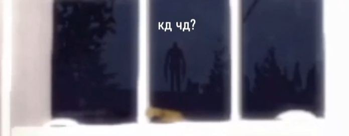 Аня Анонимк.