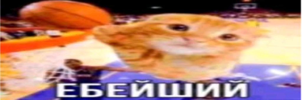 ÇŤĖPĄ228