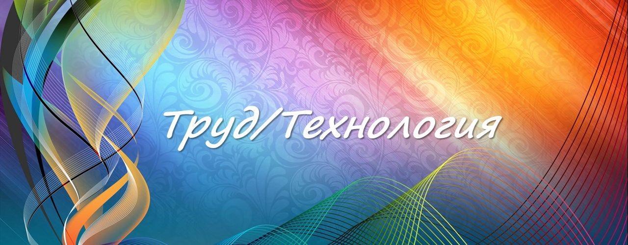 Урок труда/технологии