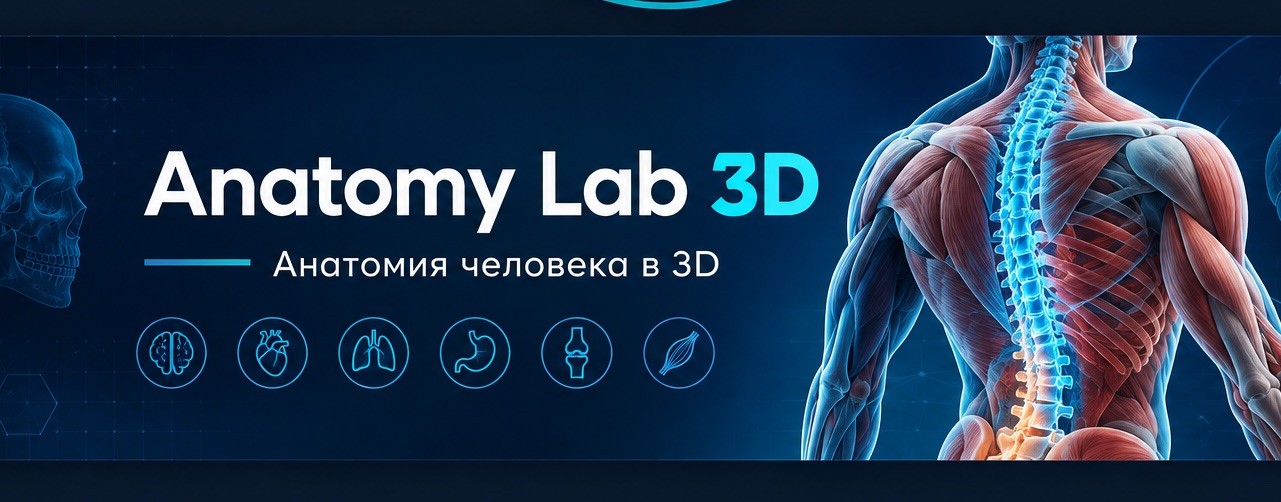 Anatomy Lab 3D
