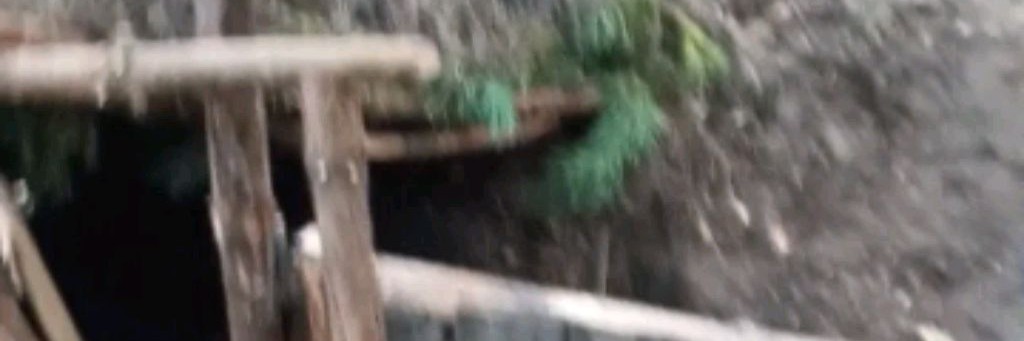 Строим Домики В Лесу