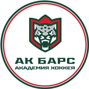 Академия хоккея «Ак Барс»