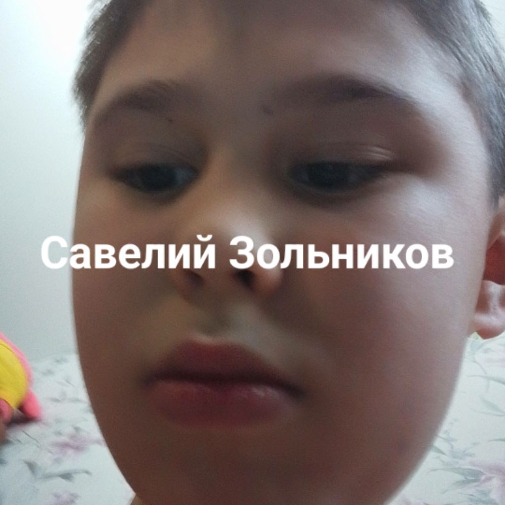Савелий Зольников