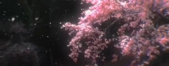 Лучшее от Лафи