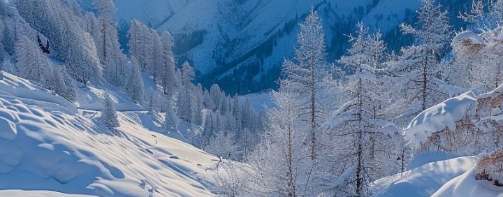 ❄☃️𝚂𝙾𝙵𝙸𝙰 𝙵𝙰𝙼𝙸𝙻𝚈☃️❄