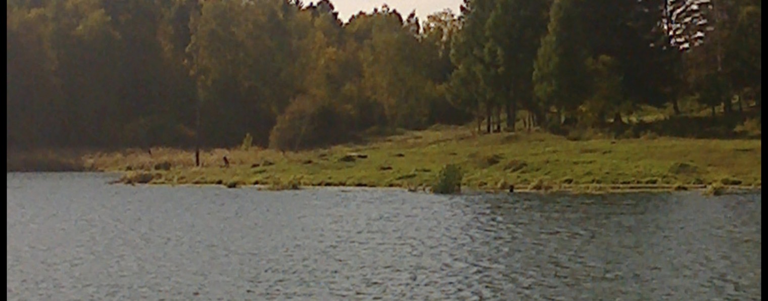 Сибирский край родной