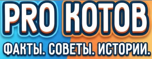 PRO Котов