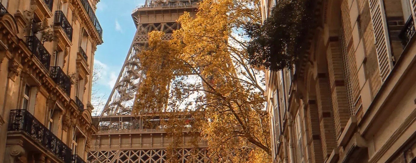 🇫🇷France🇫🇷(шелля)