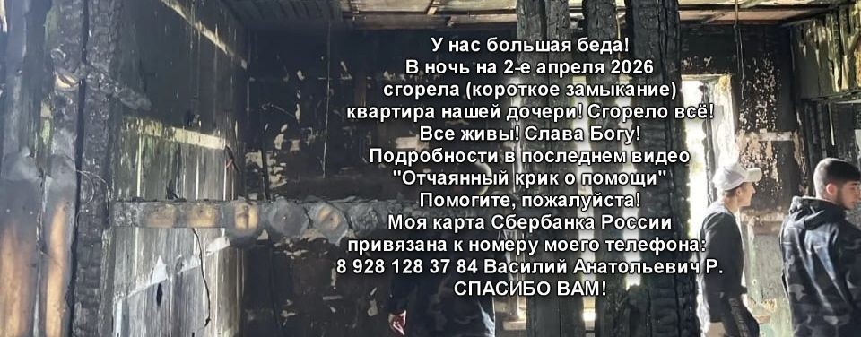 Василий Радин