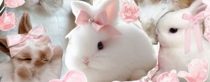 Амина Зайчик 🐰