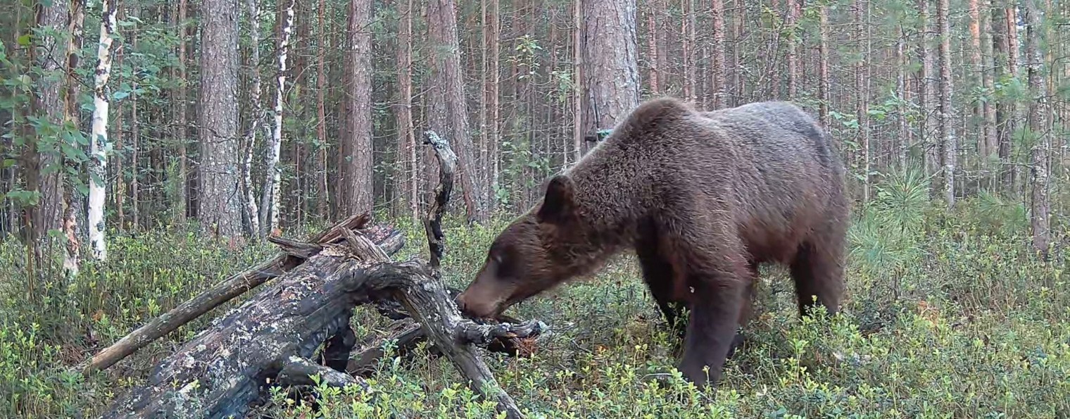 Путей всегда несколько