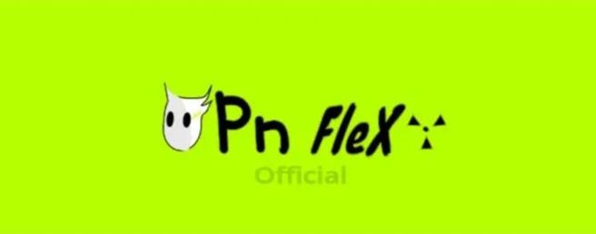 PnFleX