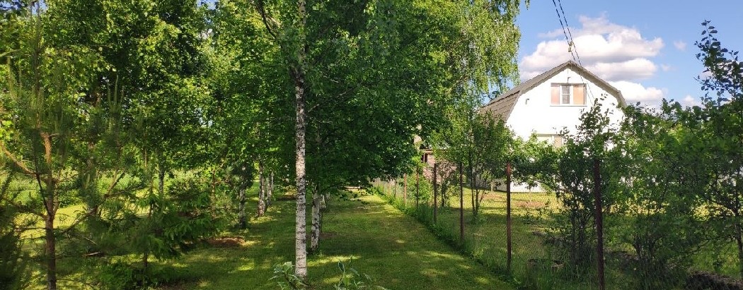 Наш дом в деревне Староверский Луг