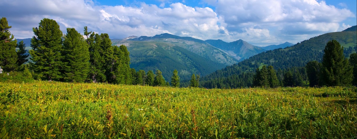 Обретая себя, быть счастливым. Психология.
