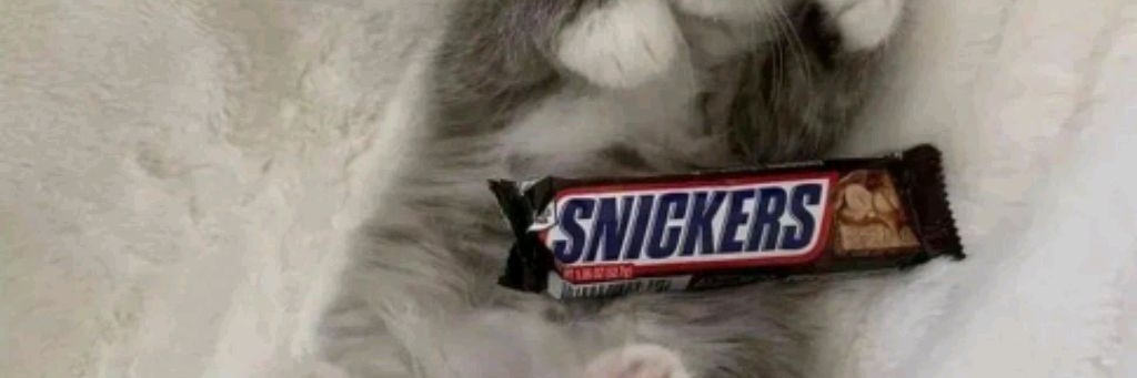 SNICKERS