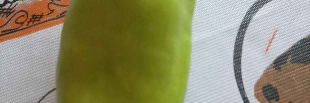 Frustile