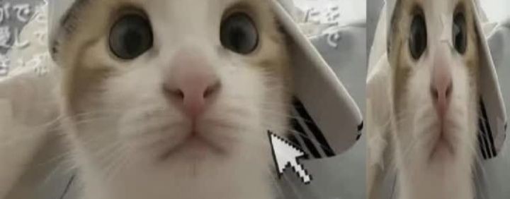 我是人类我是人类