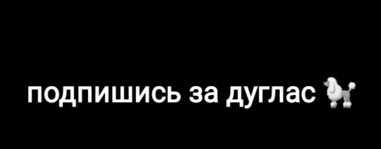 🍁🍂🐾ОСЕННИЕ НОСИКИ 🍁🍂🐾