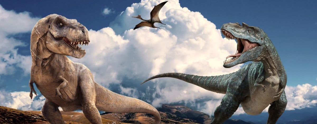 Age Dinosaurs