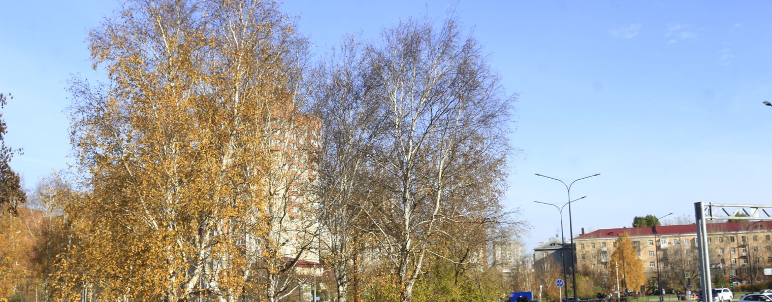 Концертные Мероприятие