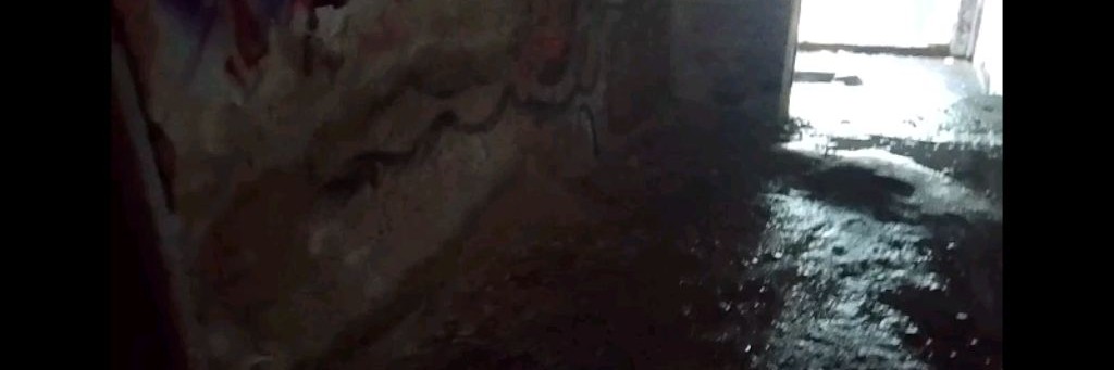 Николай Сталкер ☢️