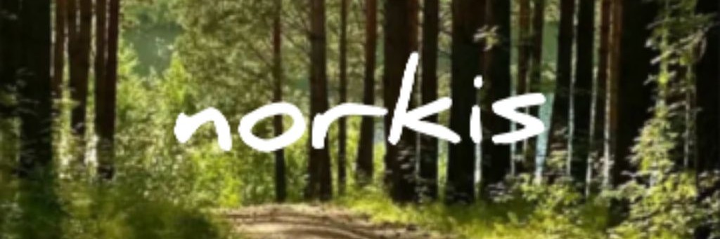☆norkis☆