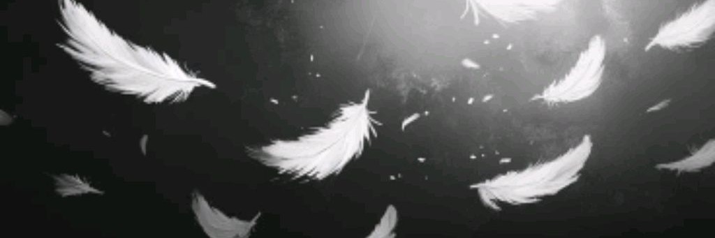 Каён#࣪ ִֶָ☾.тока