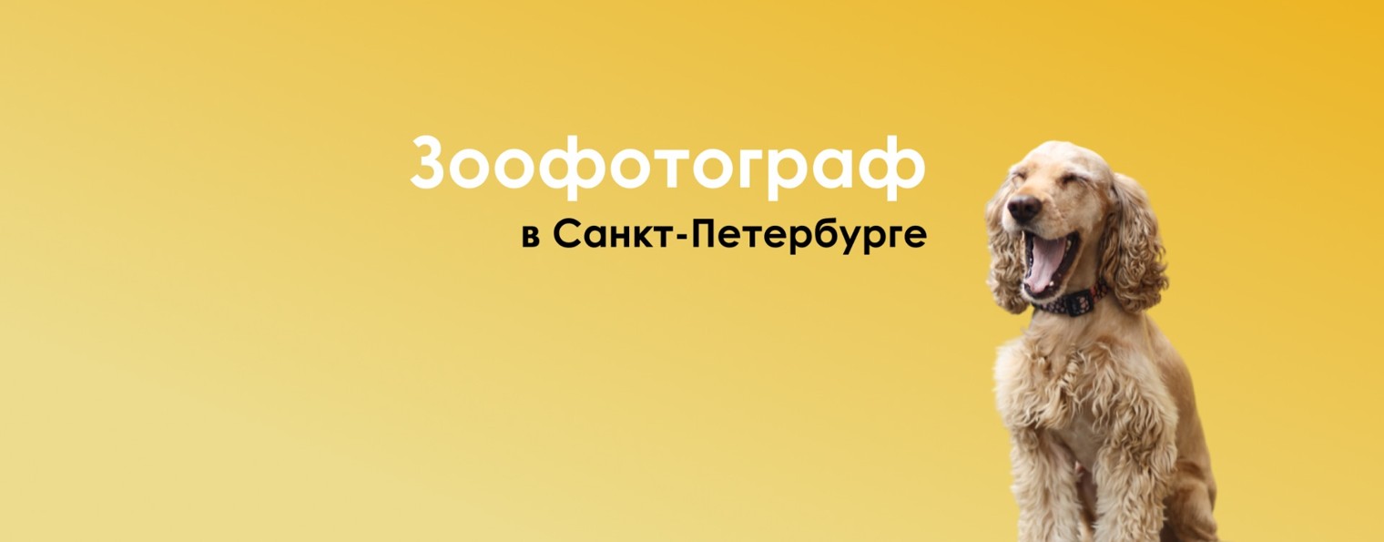 Фауна в кадре
