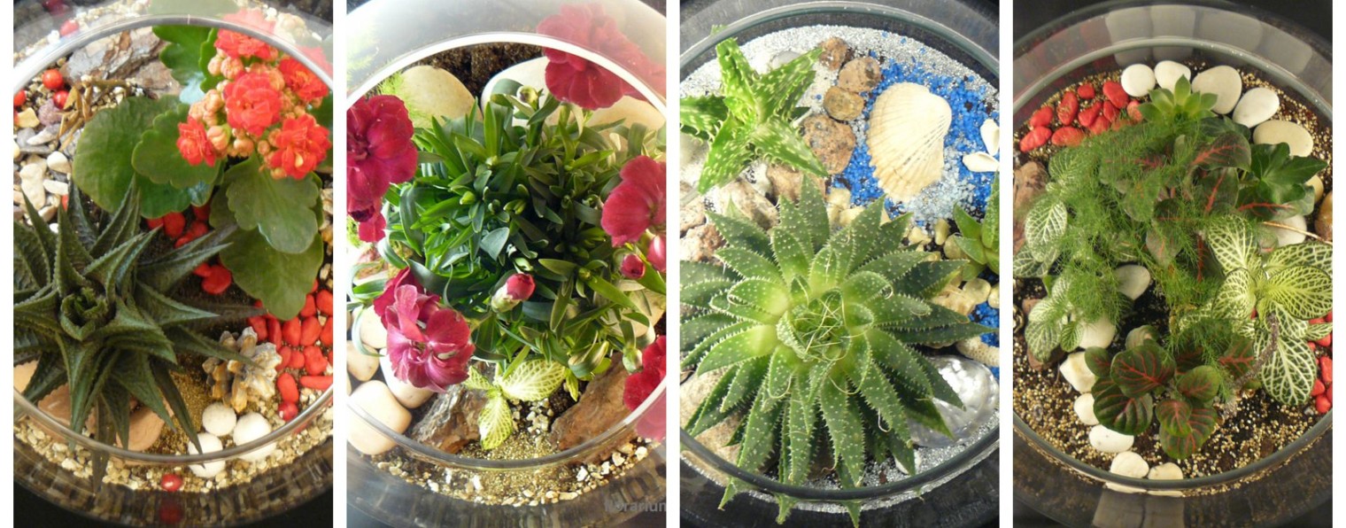 florarium.neva