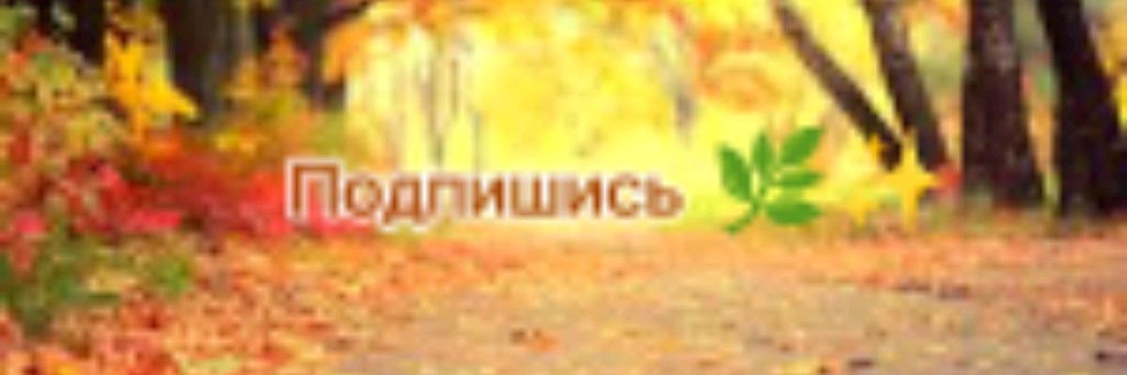🐾Пушистая~Стая🐾
