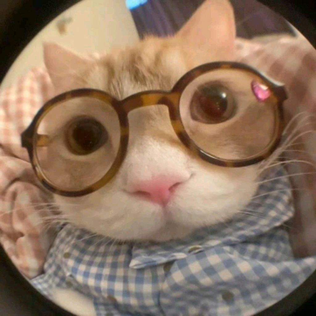 Felix
