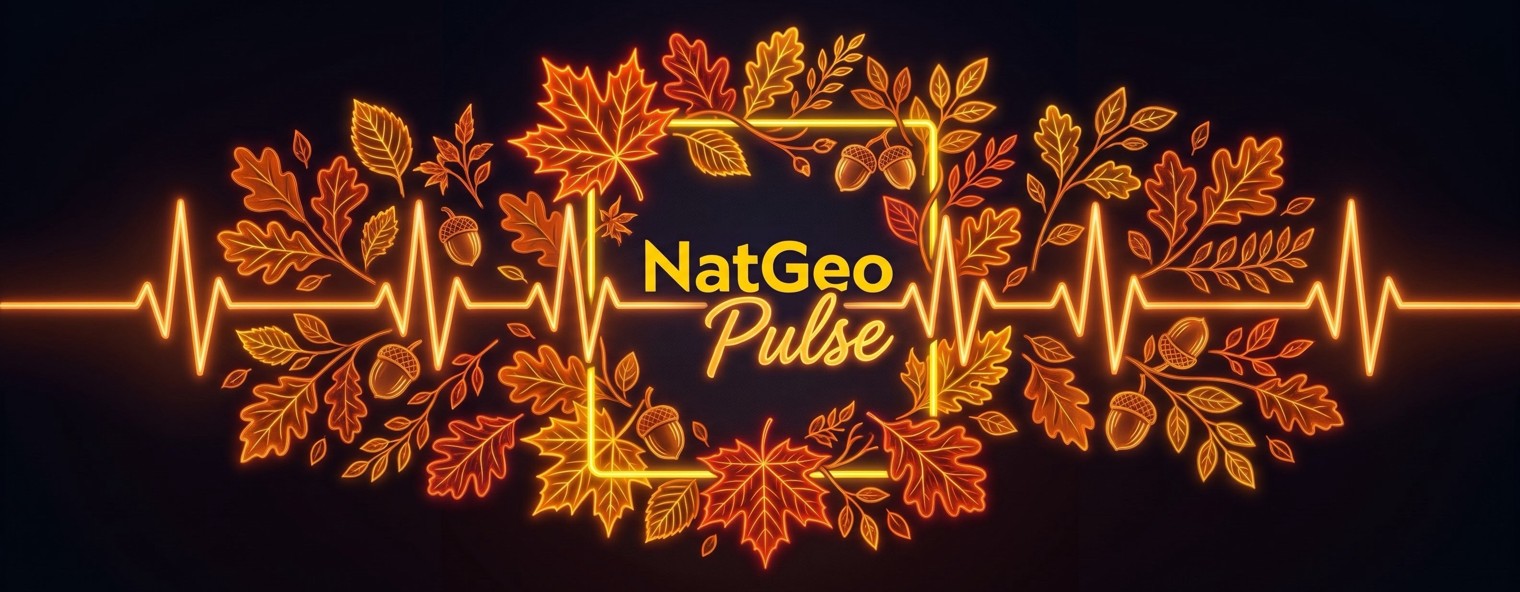 NatGeo Pulse