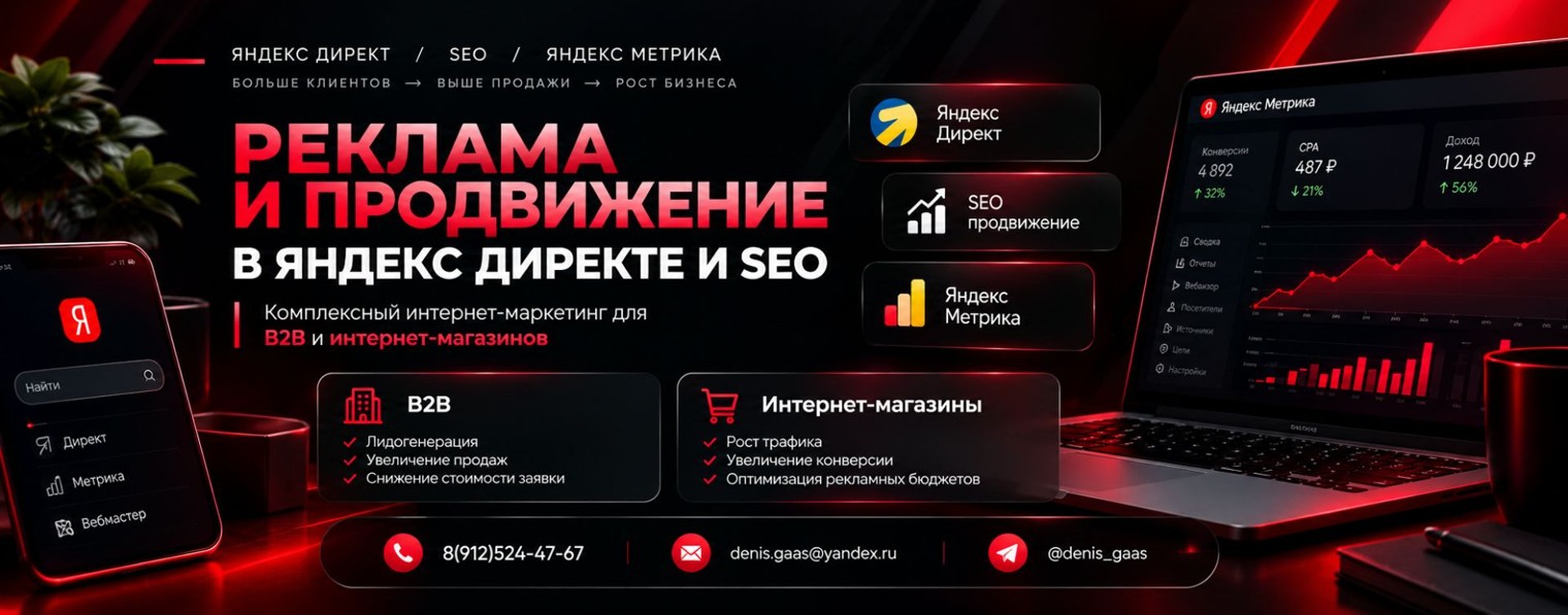 Денис Гаас | Яндекс Директ и SEO