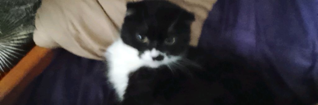 🤎САША🖤