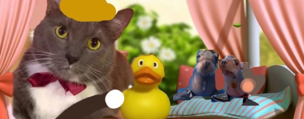 Котинет и его друзья