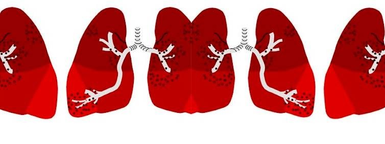 Доктор Кулешов