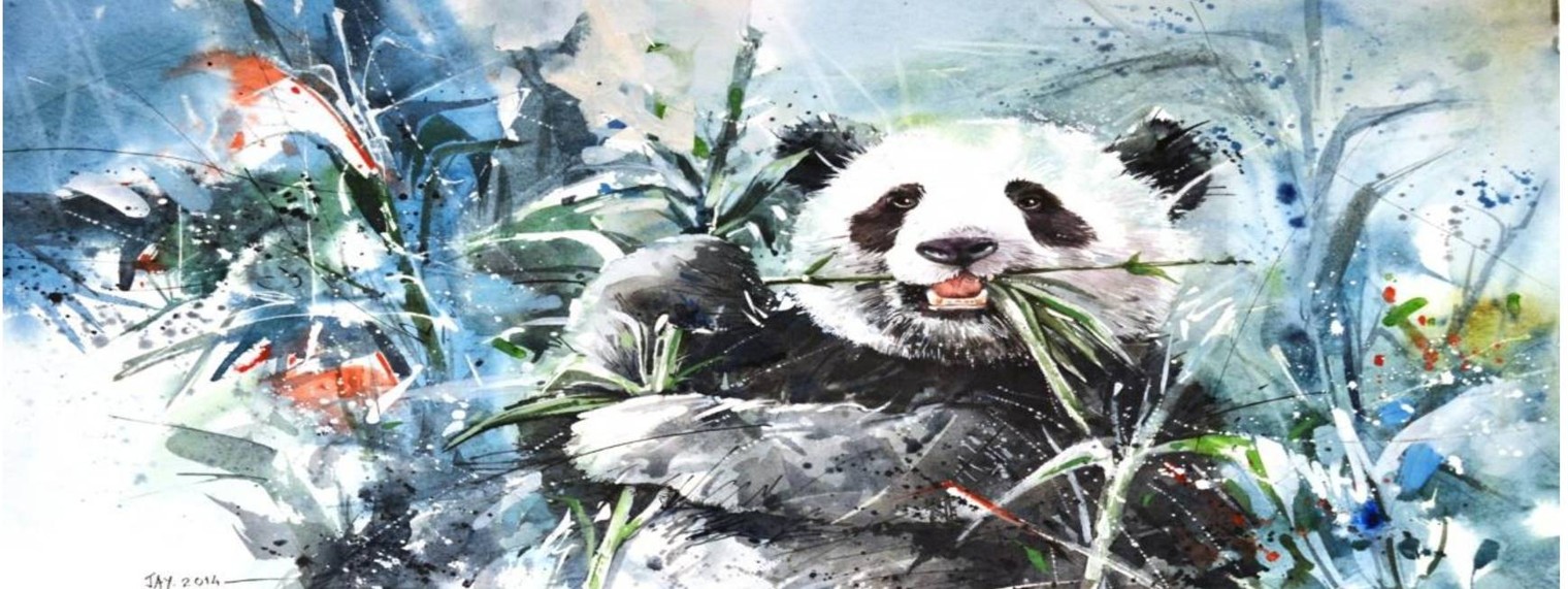 kanalPANDA