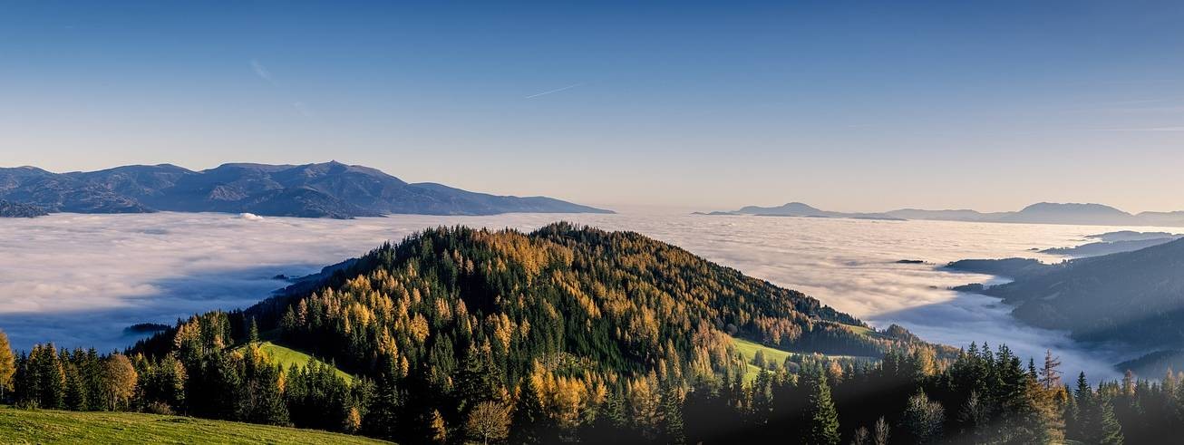 Музыка стихов