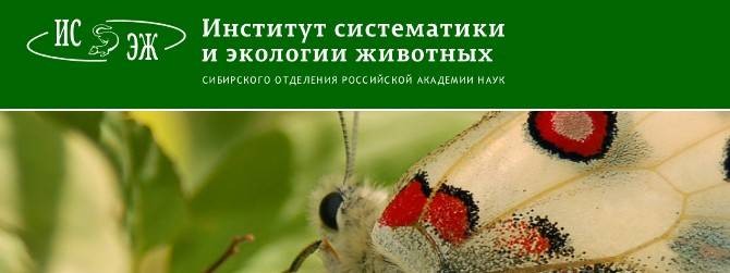 ИСиЭЖ СО РАН