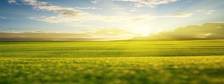 Дмитриевский агротехнологический колледж