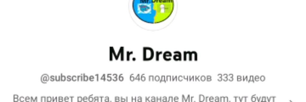 Mr. Dream RU