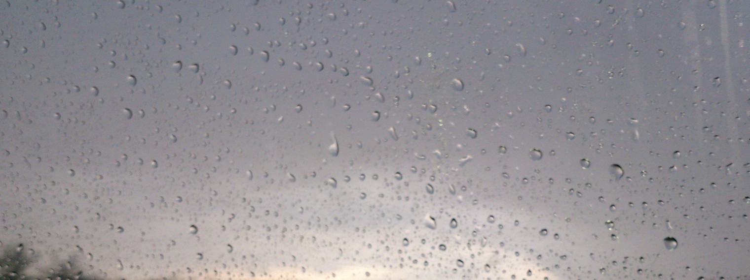 Пипяша Stories