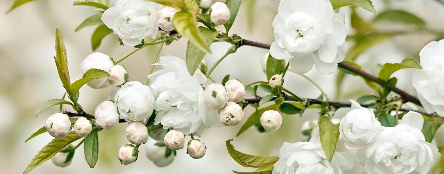 ЕленаПавлова