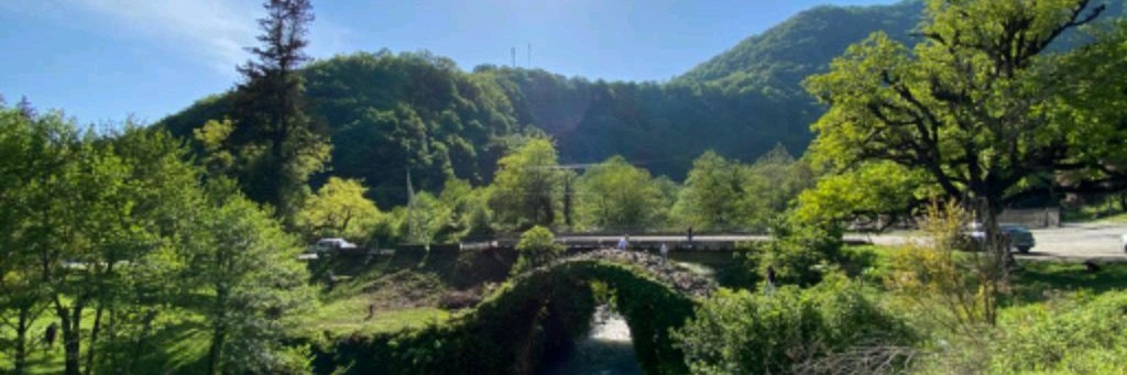 Летучая мышь