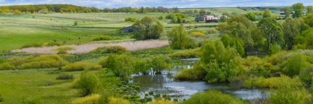 Всего понемногу