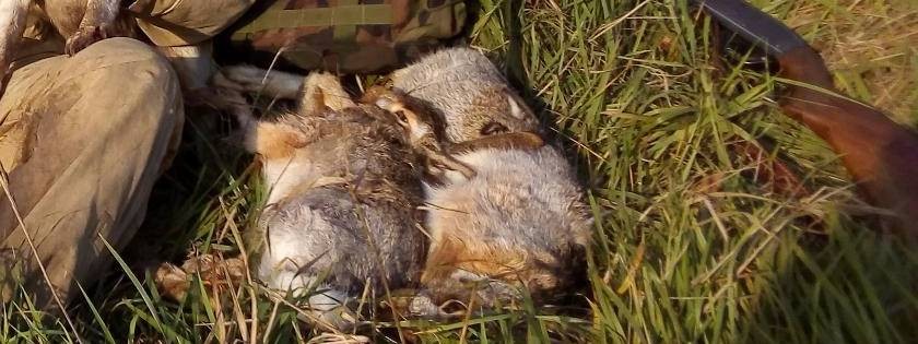 Моя охота Эдуард Хетов