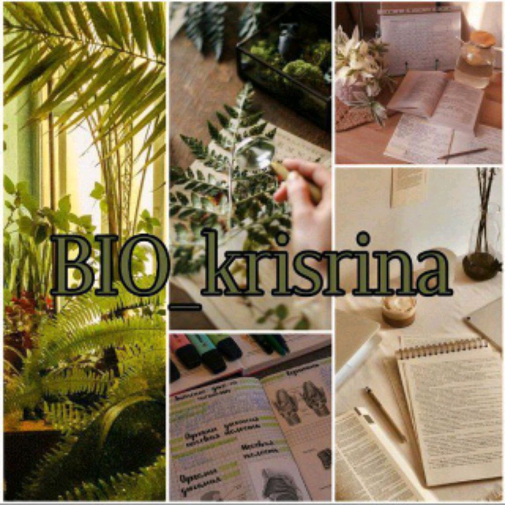 Кристина и Bio💕