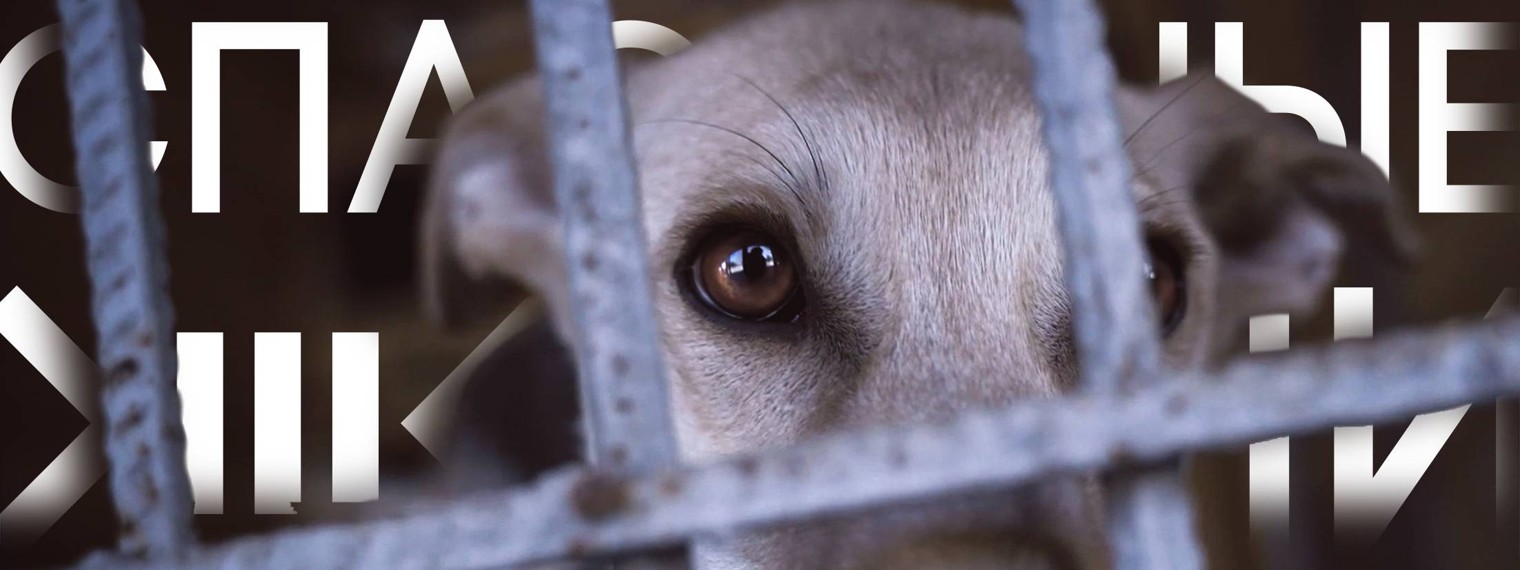 Спасённые жизни